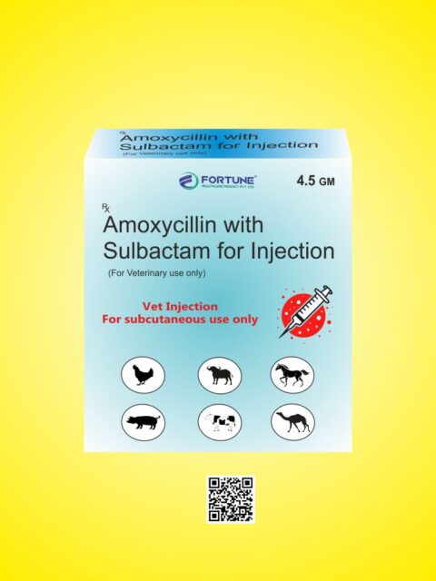 Amoxicillin And Sulbactam Injection - Fortune Healthcare Product Pvt Ltd